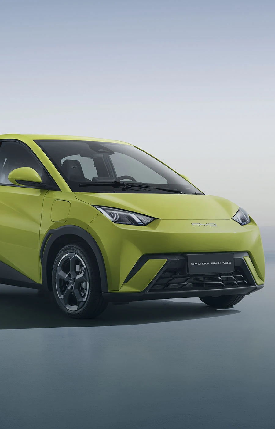 Inicio | BYD Mazatlán