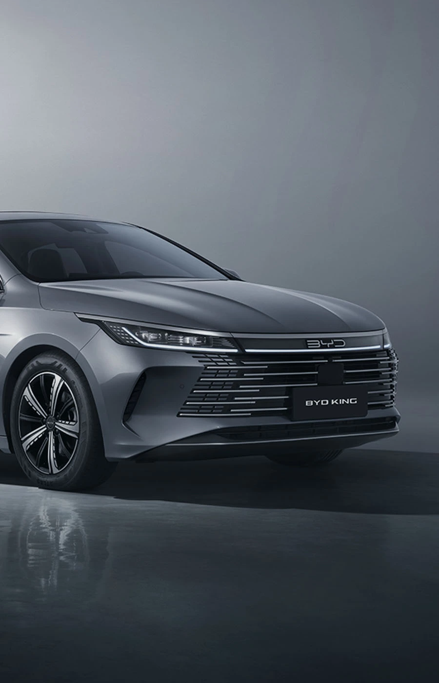 Inicio | BYD Mazatlán