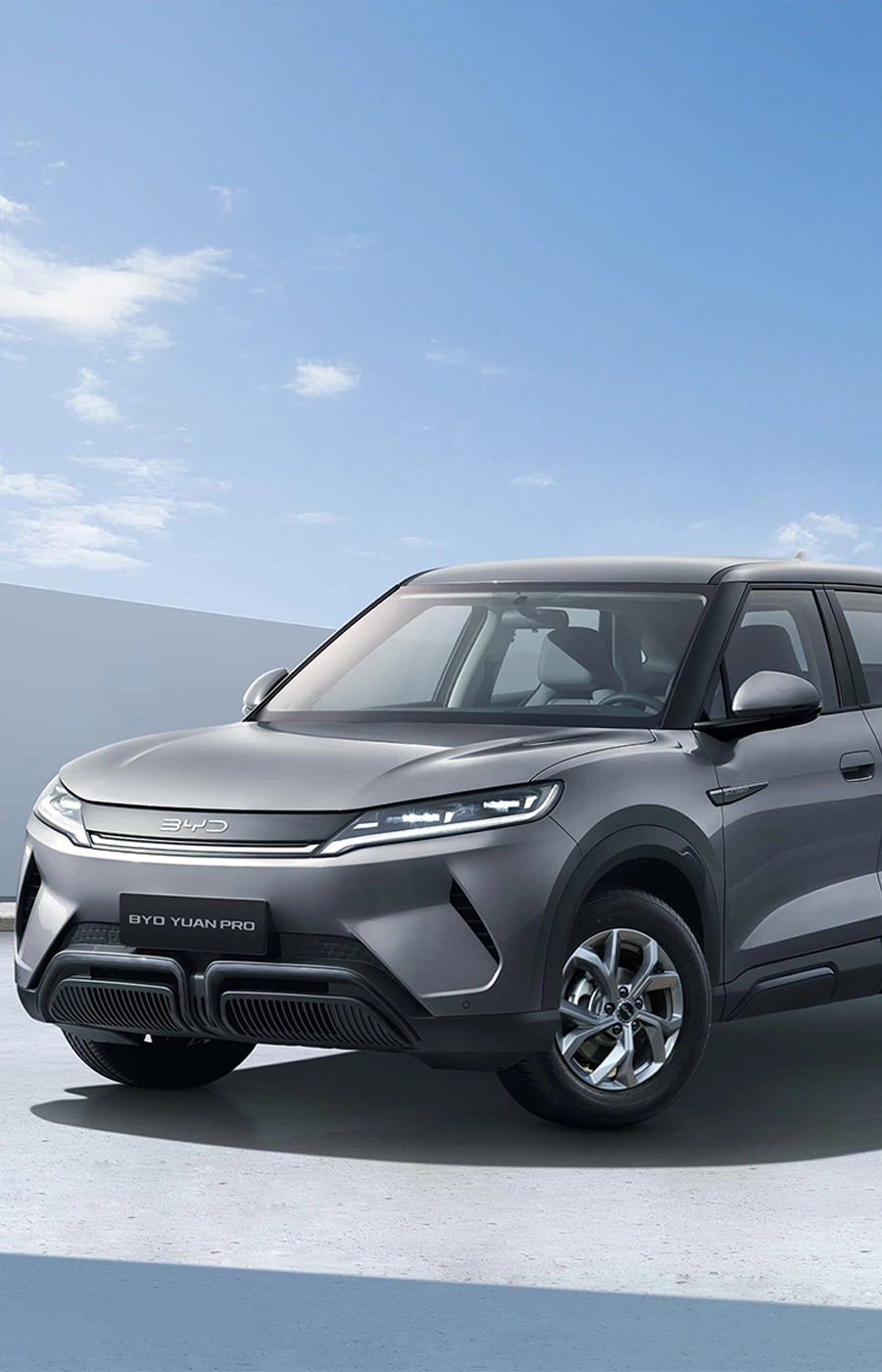 Inicio | BYD Mazatlán